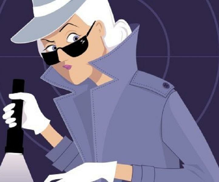 Soruşturma komitesi Como Investigazioni, , foto