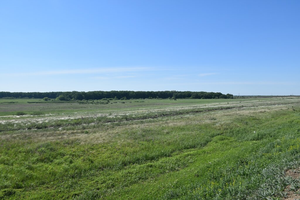 Doğa Скворцовская дубрава, Orenburgskaya oblastı, foto