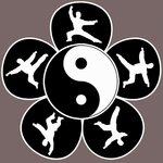 Shkola Ushu stilya Mei Hua Zhuang (Marshala Rybalko Street No:14), spor kulüpleri  Moskova'dan