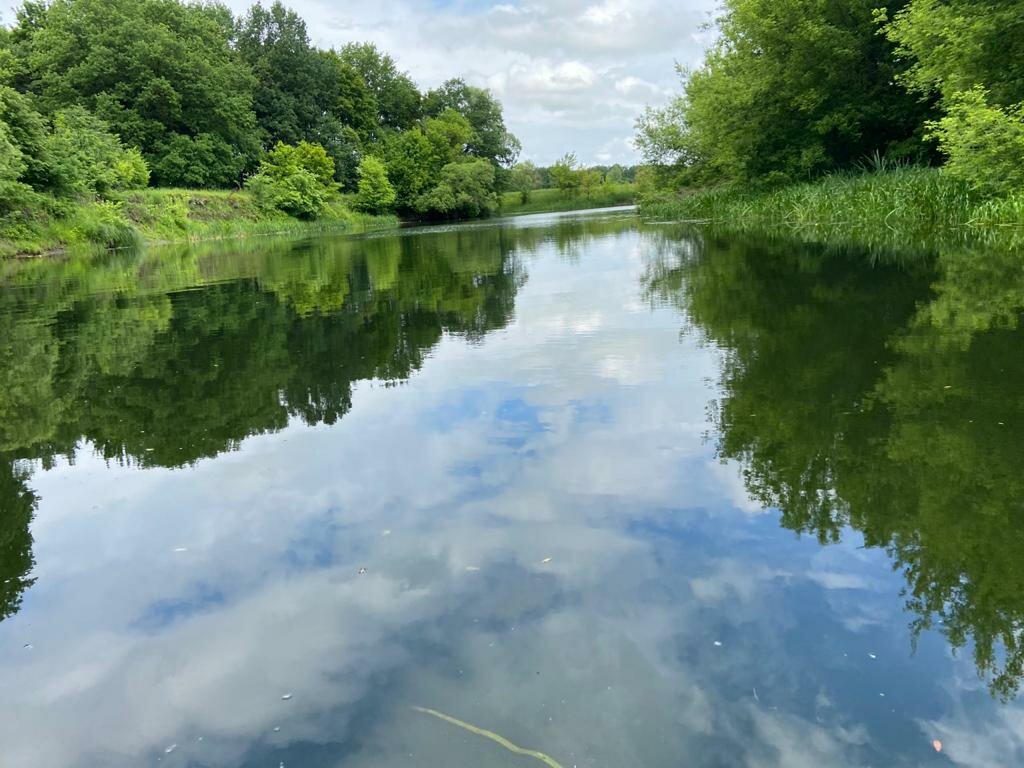 Plaj Пляж, Kurskaya oblastı, foto