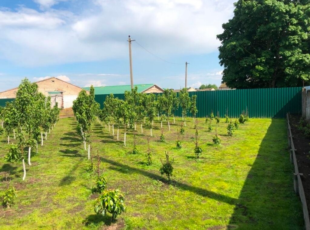 Hayvancılık Peasant Farm Holding BIOsmak, Minskaya oblastı, foto