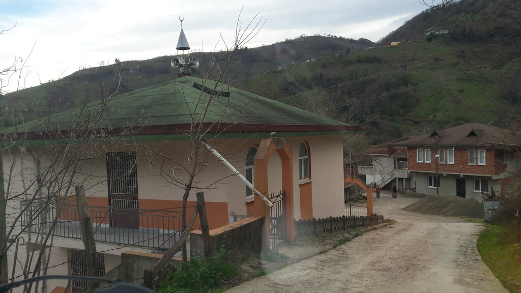 Cami Yukarı Bahçeler Mahallesi Baharlı Cami, Fatsa, foto