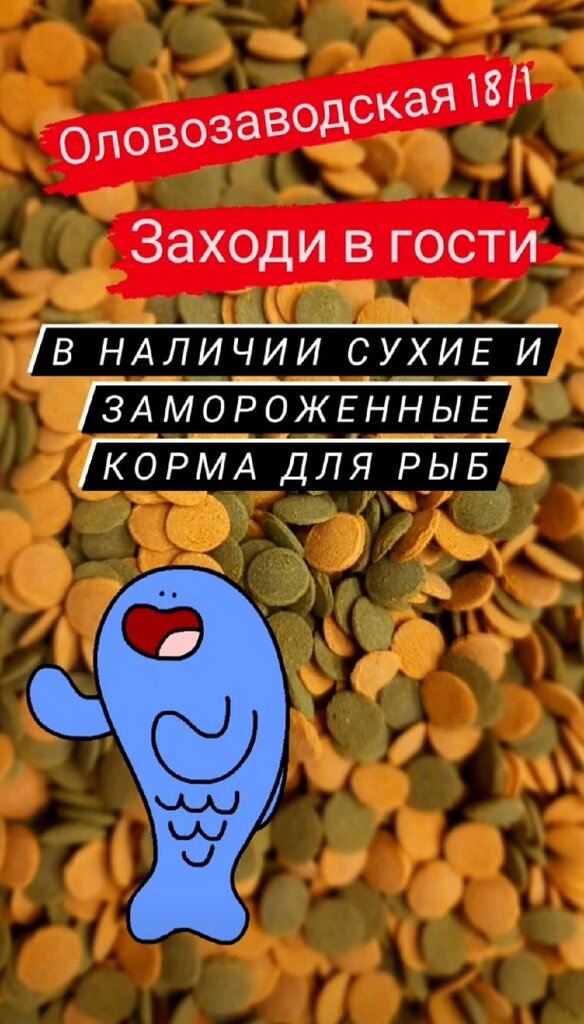 Petshop Чешир Маркет, Novosibirsk, foto