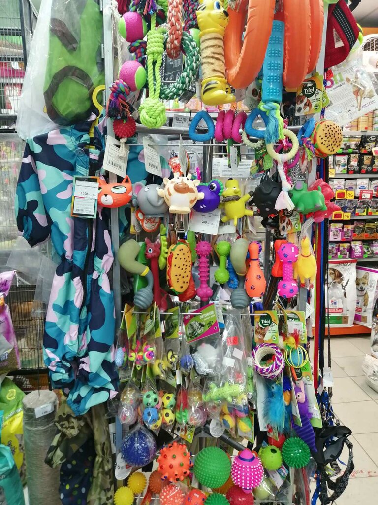 Petshop Ваш питомец, Saratov, foto