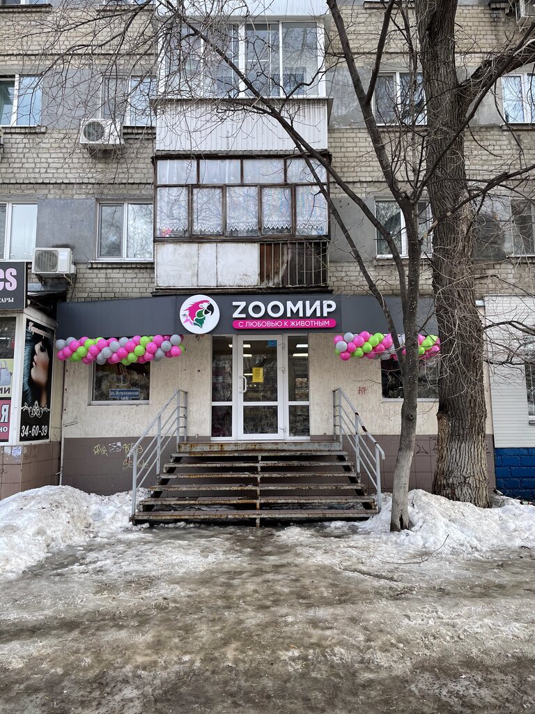 Petshop ZOOmir, Saratov, foto