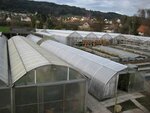 Gärtnerei Egli GmbH (Zürich, Uster, Lätten), çiçek teslimatı  Zürih'ten