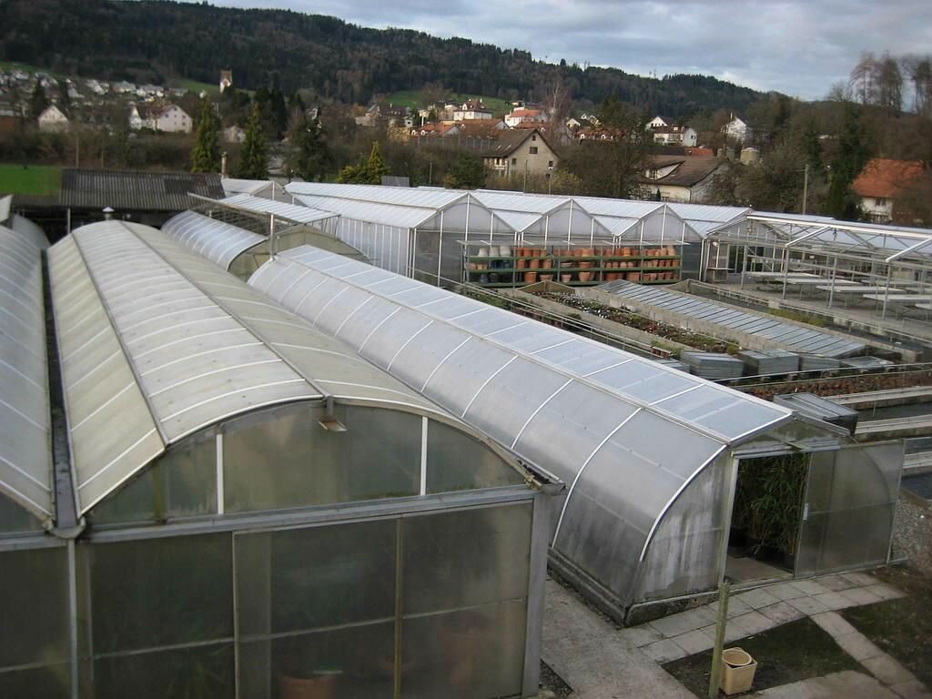 Çiçek teslimatı Gärtnerei Egli GmbH, Zürih, foto