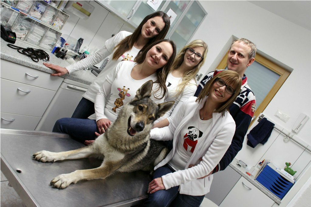 Veteriner klinikleri Tierarztpraxis Mertlitsch GmbH Dipl. Ta Helga Mertlitsch, Dipl. Ta Roland Mertlitsch, Karintiya, foto