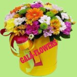 Gala (Lenina Avenue No:77А), çiçekçiler  Krasnoye Selo'dan
