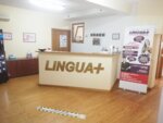 Linguapiù Centro formazione, Università Online, Informatica (Via Domenico la Bruna No:30, Alcamo), kişisel gelişim merkezi