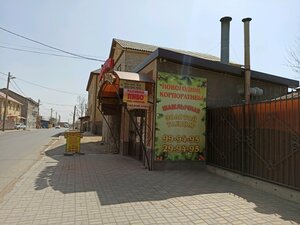 Золотой Тандыр (1st Kotelnaya Street No:40, Astrakhan), kafe  Astrahan'dan