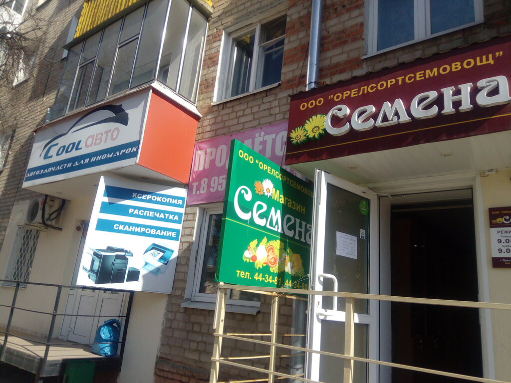 Tohum satan yerler Орелсортсемовощ, Orel, foto