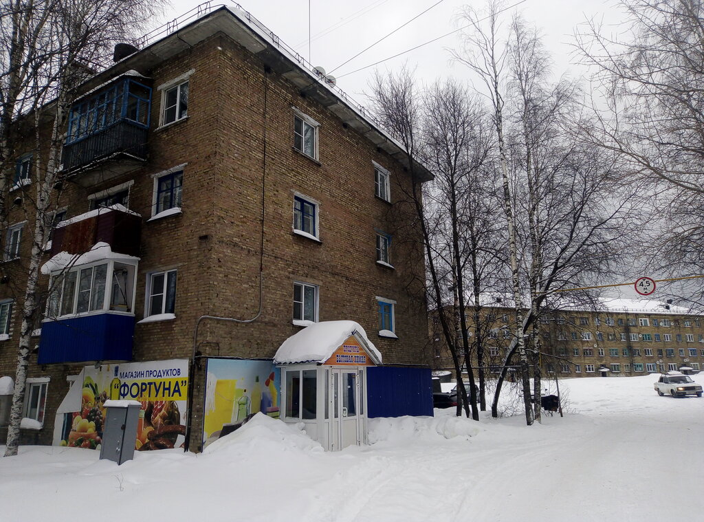 Ev temizlik ürünleri Фортуна, Sosnogorsk, foto