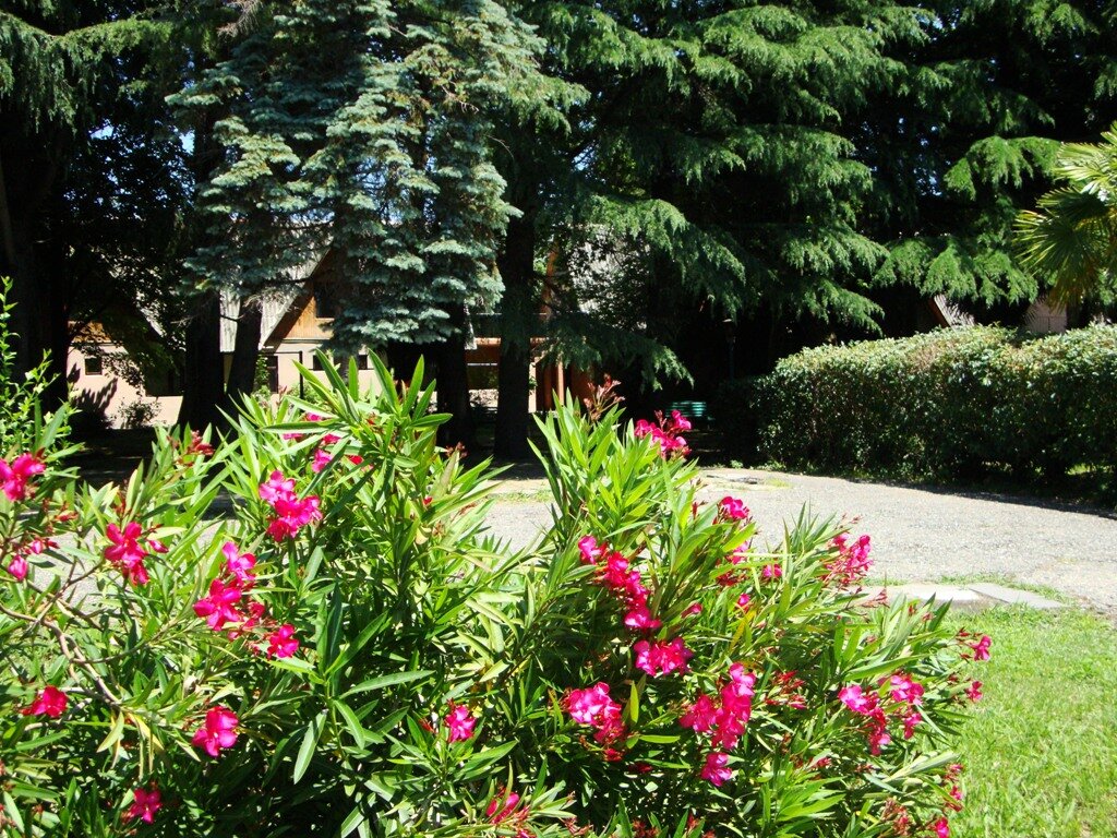 Resort oteller, tesisler Baza otdyha Elbrus, Soçi, foto