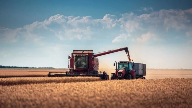 Tarım makineleri, ekipmanlar El. EN. Corrias Agricoltura Sarda, Quartu Sant'Elena, foto