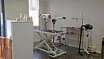 Toelettatura Dog Enjoy (Emilia-Romagna, Bologna, Via B. Gigli), petshop  Bologna'dan
