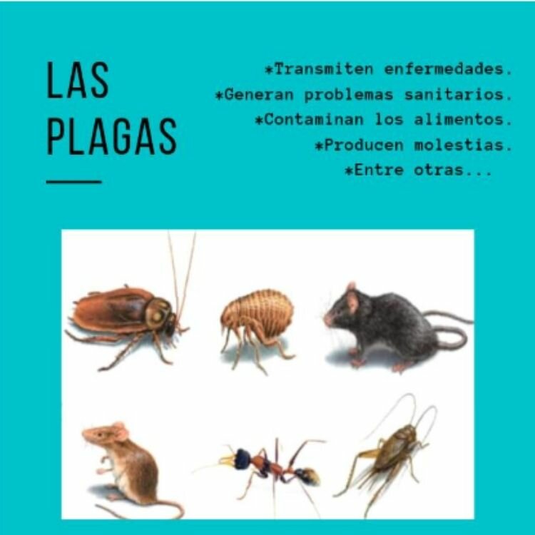 Sanayi ekipmanları firmaları Servimos & Controlamos S. A. S, Medellin, foto