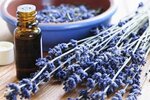 Farmacia De Socio S. R. l (Molise, Campobasso, Via Fontana), kozmetik ve parfümeri mağazaları  Molise'den