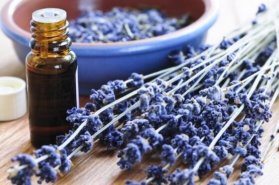 Kozmetik ve parfümeri mağazaları Farmacia De Socio S. R. l, Molise, foto