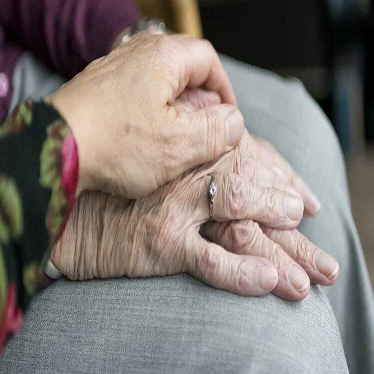 Huzurevi, bakımevi Elderly Welfare Center El Rosario, , foto