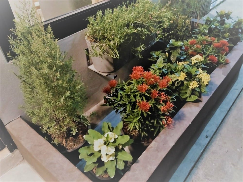 Otel Live like a local in Ekkamai, Bangkok, foto