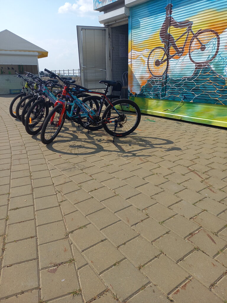 Bisiklet kiralama Велопрокат, Minsk, foto