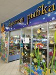 Zoomagazin Zolotay ribca (ulitsa Mira No:17), petshop  Çusovoy'dan