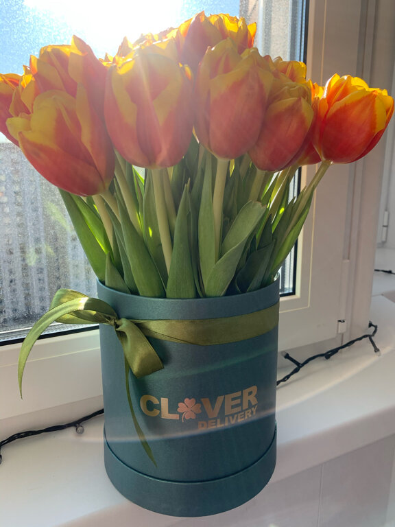 Çiçek teslimatı Clover. Delivery, Moskova, foto