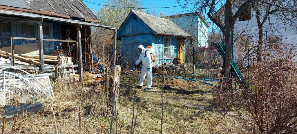 Haşere ilaçlama firmaları Dez Hit, Nijegorodskaya oblastı, foto