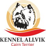 Kennel Allvik Cairn Terrier (Dendrosada Street No:11), evcil hayvan yetiştiricileri  Yoshkar‑Ola'dan
