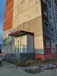 Цветы (Proletarskaya Street No:75), çiçekçiler  Magadan'dan