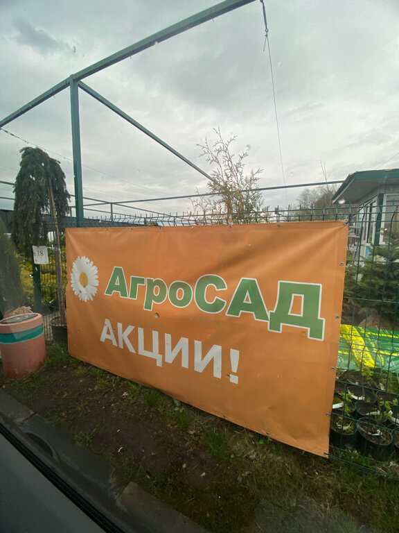 Sera ve bahçe ürünleri AgroSAD, Moskova ve Moskovskaya oblastı, foto