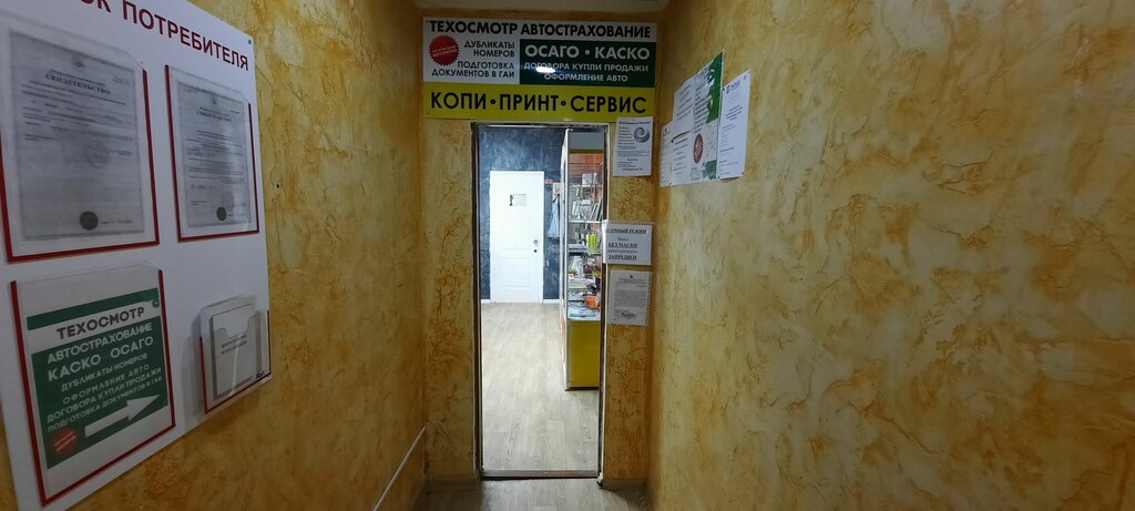 Fotoğraf hizmetleri Palitra, Sevastopol, foto