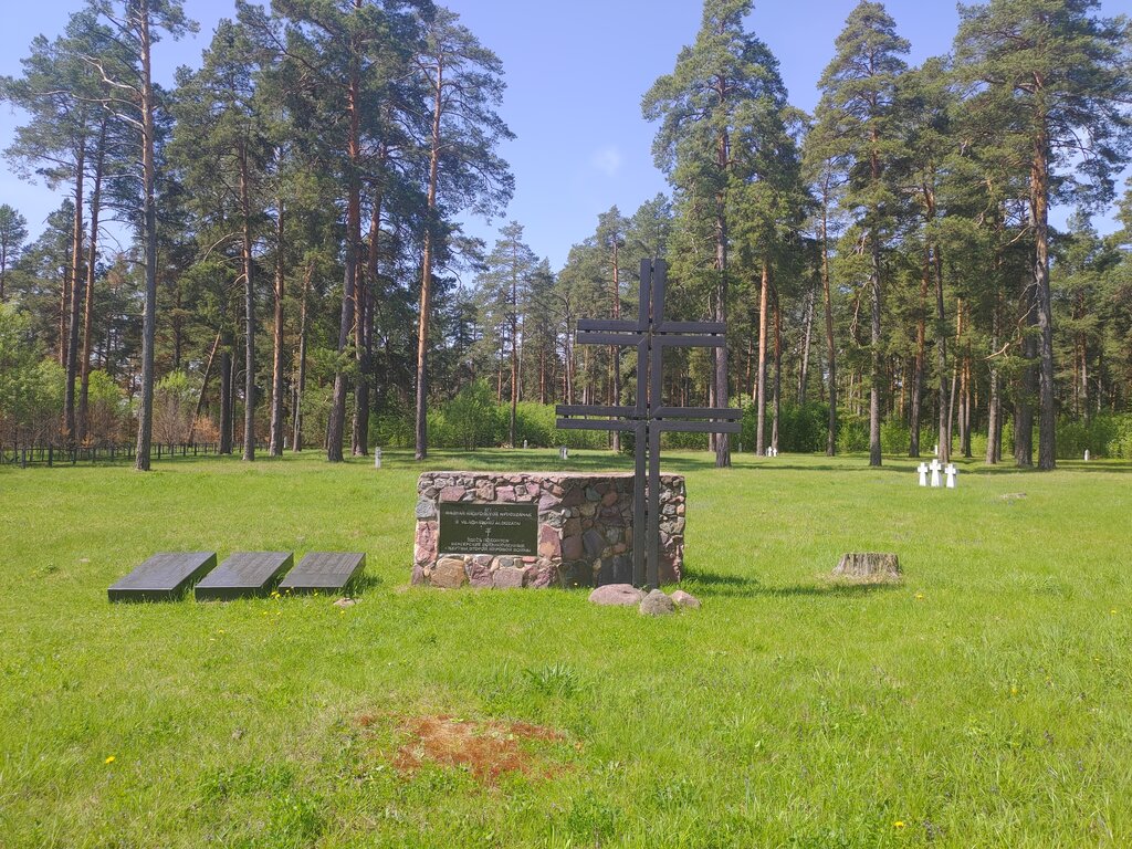 Mezarlıklar Немецко-итальянское кладбище военнопленных, Vladimirskaya oblastı, foto