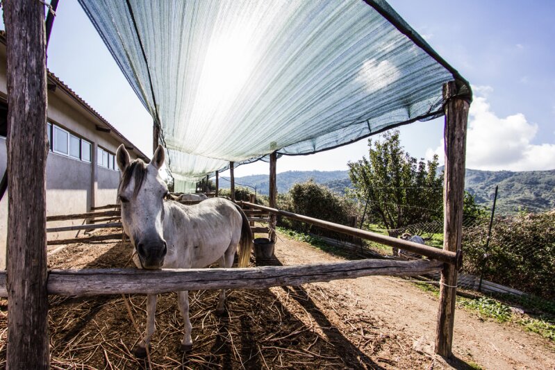 Restoran Agriturismo San Nicola, Sicilya, foto