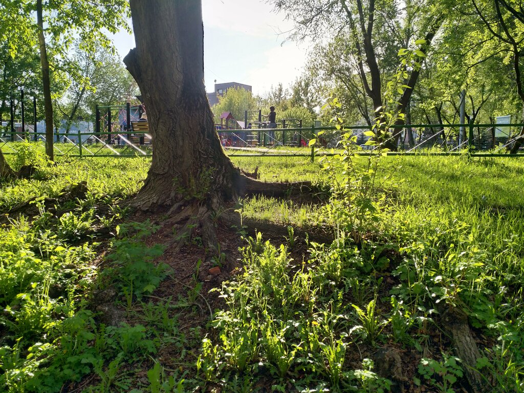 Spor alanı Спортивная площадка, Liubertsy, foto