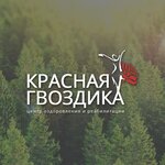 Krasnaya gvozdika (ulitsa Chervishevskiy Trakt No:64А), reklam ajansları  Tiumen'den