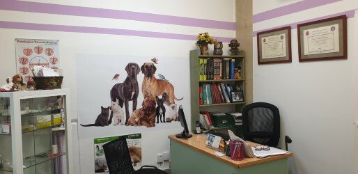 Evcil hayvan kuaförleri Clínica Veterinaria Conde Aranda, Zaragoza, foto