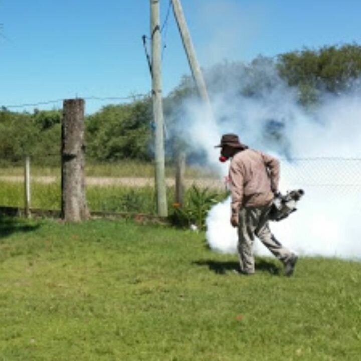 Kimyasal üretim firmaları Chaco Fumigaciones, Buenos Aires, foto