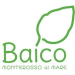 Baico Pesto Lab (Liguria, provincia della Spezia, Via Roma, 27), market  Ligurya'dan