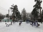 Тренажерная площадка (Moscow Region, Pshkinskiy Urban District, posyolok Chelyuskinskiy), spor alanı  Moskova ve Moskovskaya oblastından