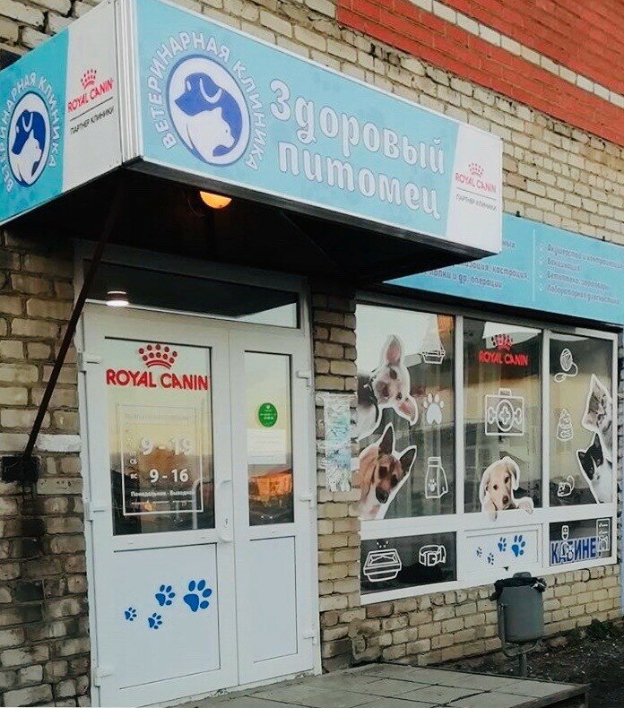 Veteriner klinikleri Ветеринарная клиника Здоровый питомец, Artiomovski, foto