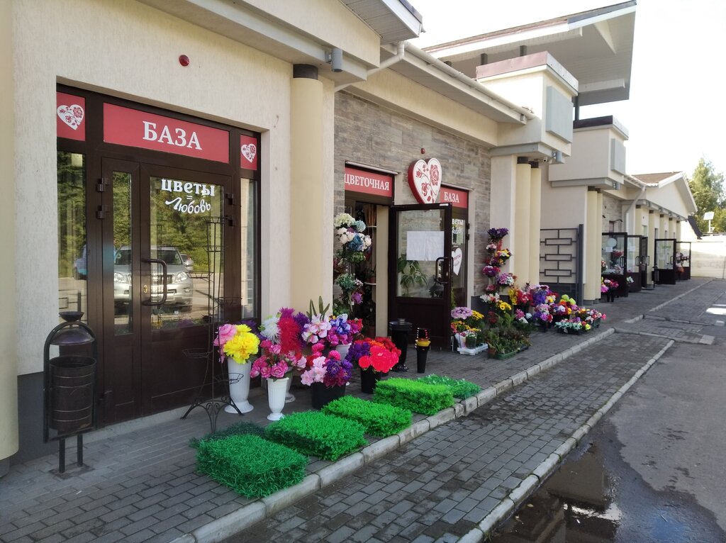 Çiçekçiler Cvety=Lyubov, Dubna, foto