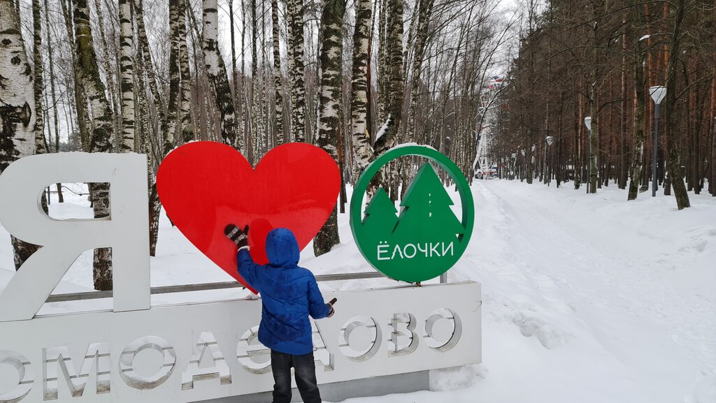 Dekorasyon ve süsleme, onur panosu I love Domodedovo, Domodedovo, foto