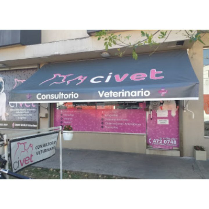 Veteriner klinikleri Civet - Consultorio Integral Veterinario, , foto