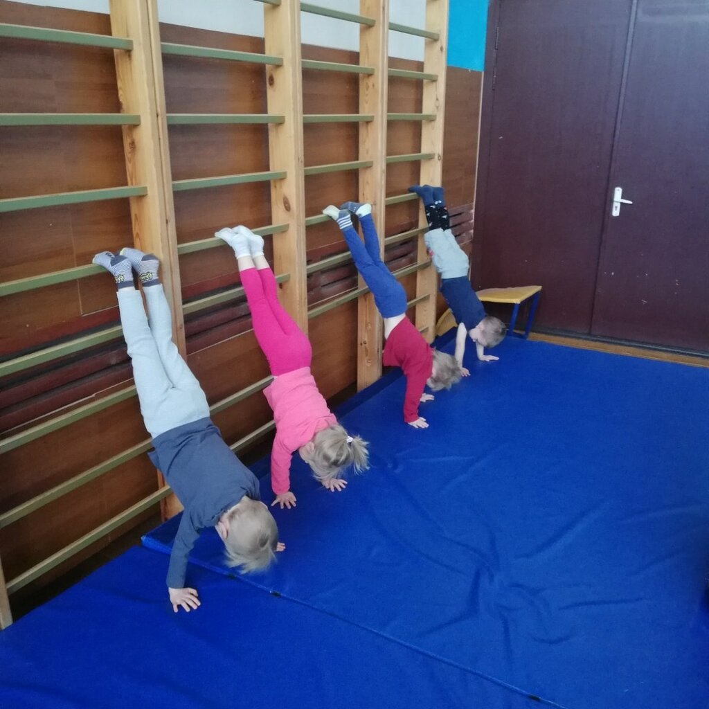 Spor kulüpleri Крепыш, Minsk, foto