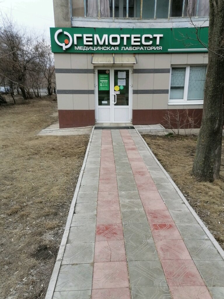 Tıbbi laboratuvarlar Laboratoria Gemotest, Lipetsk, foto