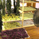 Le officinali di Eleonora Cosolo (Friuli-Venezia Giulia, Gorizia, Via Nazario Sauro, 14), kozmetik ve parfümeri mağazaları  Friuli‑Venezia Giulia'dan