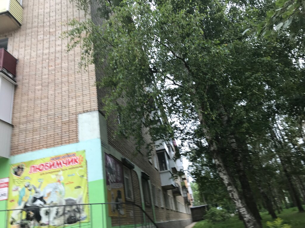 Petshop Любимчик, Safonovo, foto