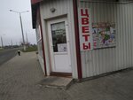 Flower shop (Homieĺskaja voblasć, Zhlobin, Leningradskaya ulitsa), çiçekçiler  Zhlobin'den